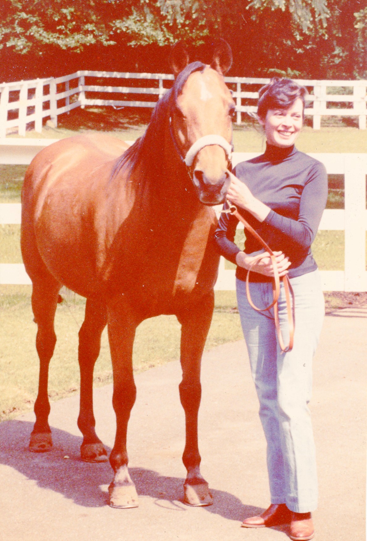 Charlotte Poole Obituary - Seattle, WA