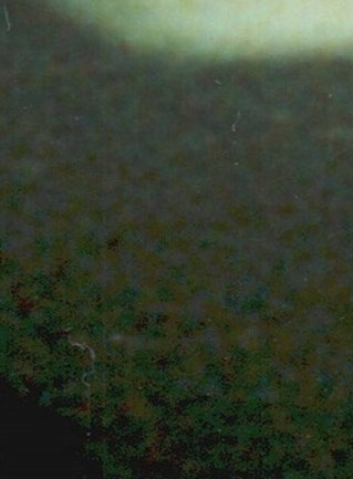Jimmie Ray Wagner Obituary Crystal Lake Il