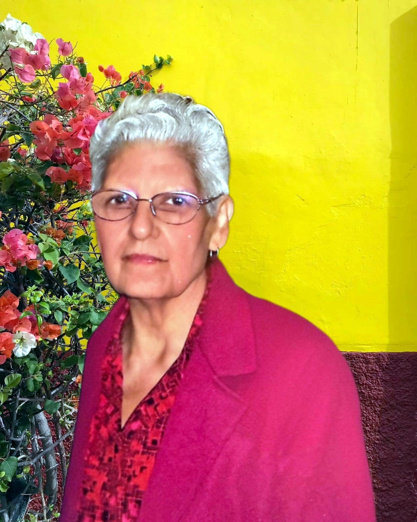 Elida Deleon Obituary - Falfurrias, TX