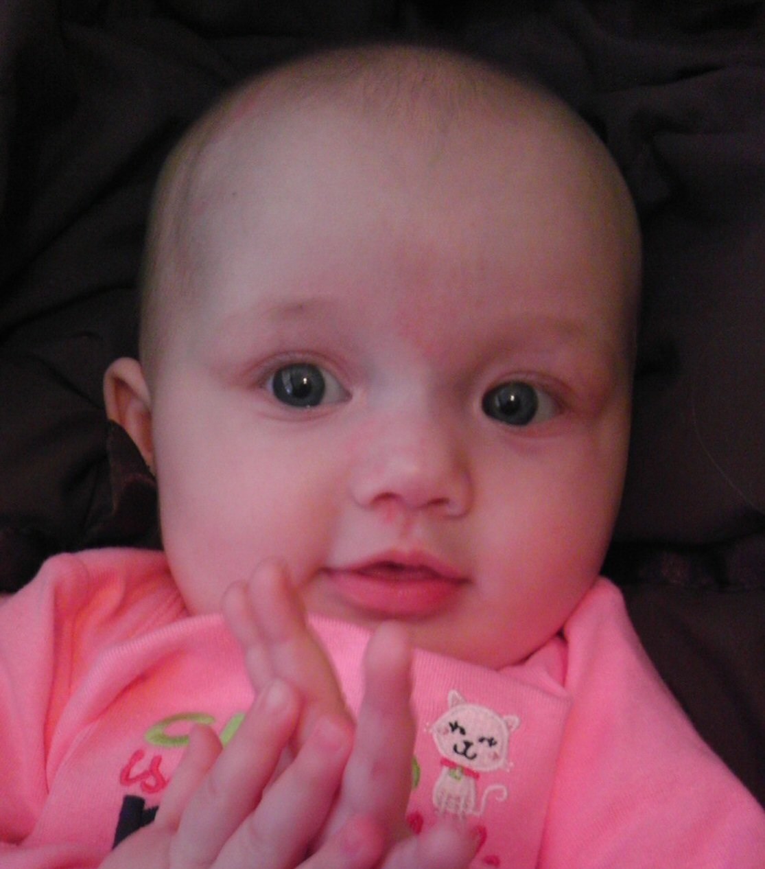 Emalee Rose Moler Obituary - Wichita, KS