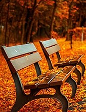 Wallace Dembinski Obituary - Arlington Heights, IL