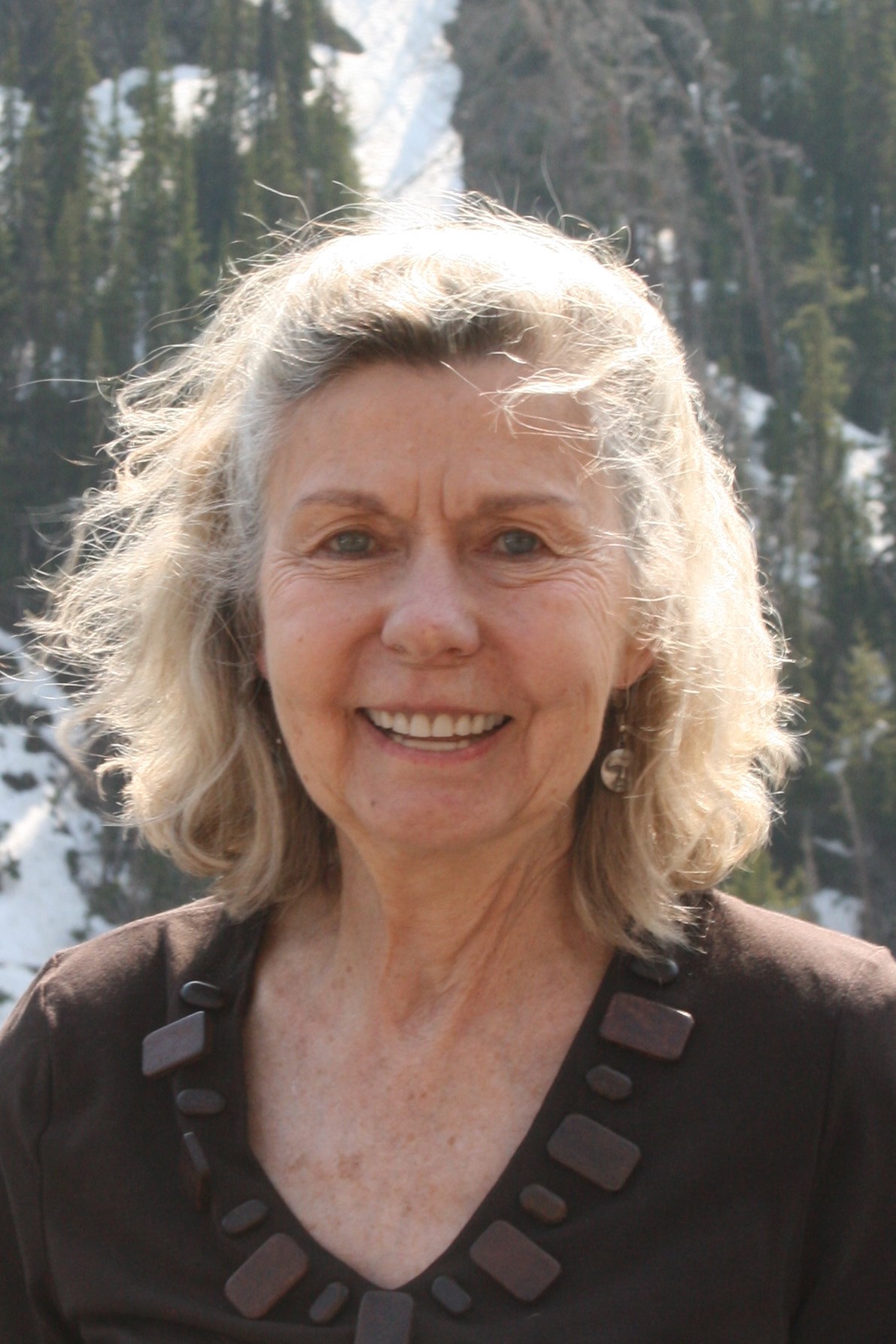 Patricia Crowe Obituary - Arlington, VA