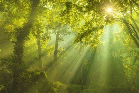 Susie Charnik Obituary - Salem, OR