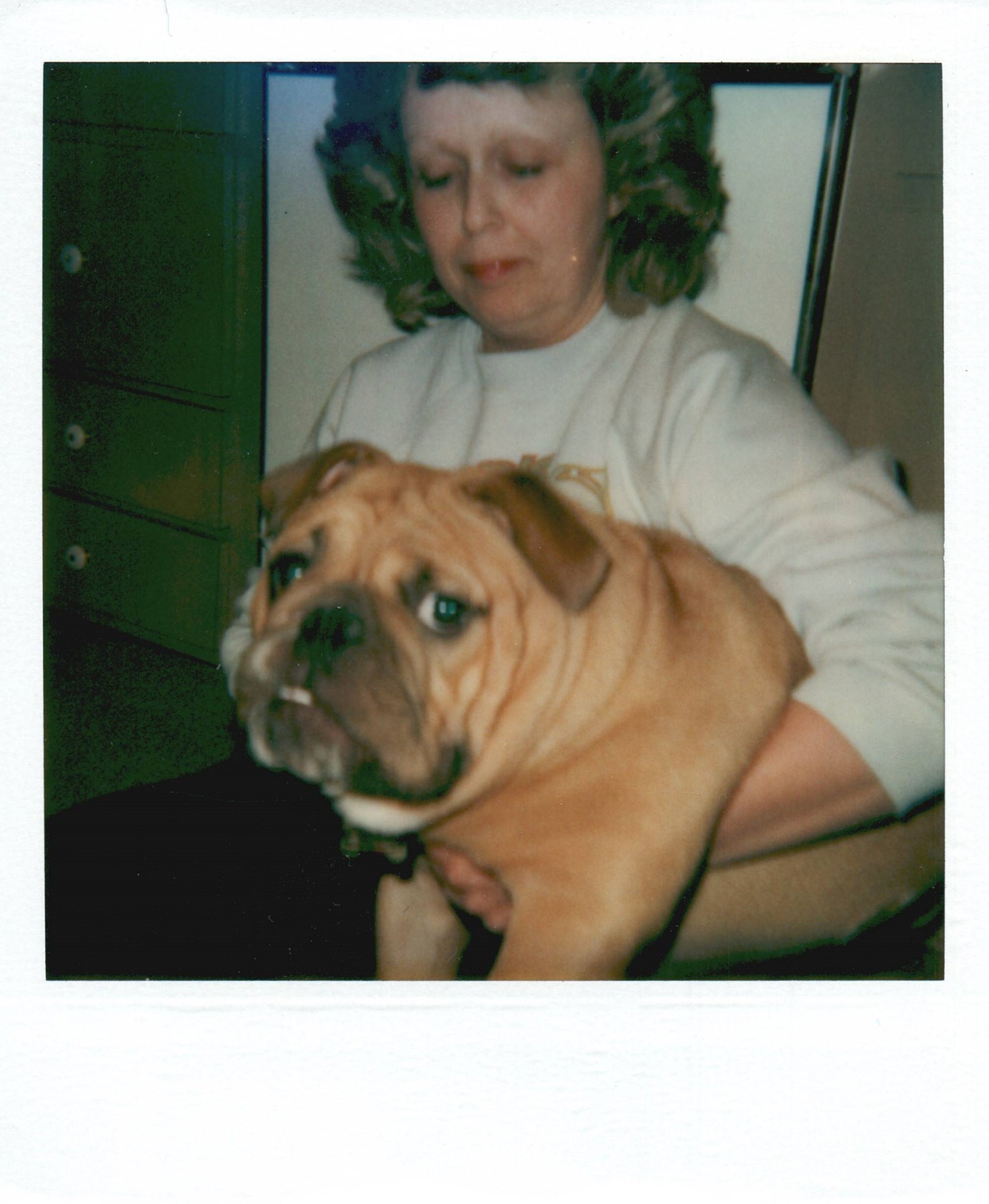 Linda Bartone Obituary - Clinton, CT