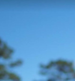 Timothy Piglia Obituary - Metairie, LA Timothy Piglia Obituary - Metairie, LA