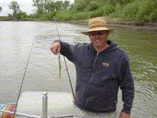 Dennis Joel Wright Obituary - Auburn, CA