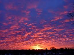 Agnes Antibus Obituary - Fort Wayne, IN