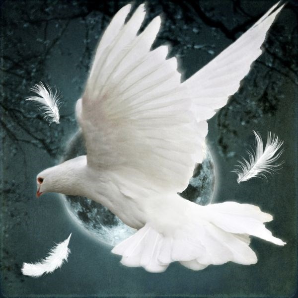 Nancy Yoder Obituary - Reading, PA