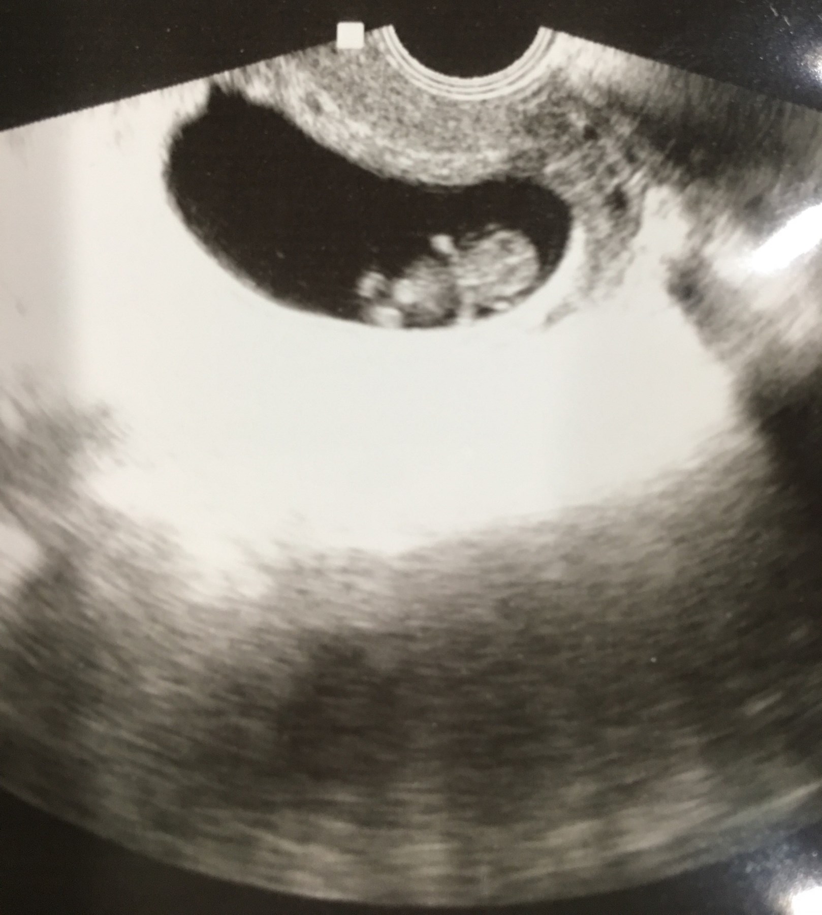 Olivia Godkin Obituary - San Antonio, TX