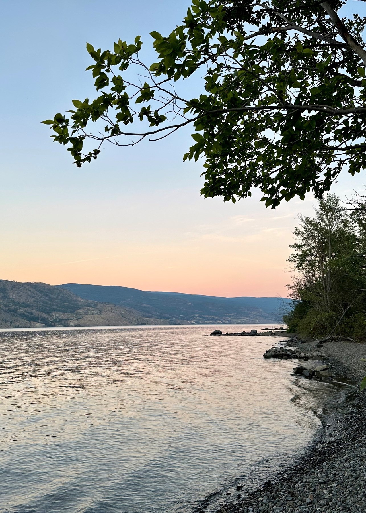 Raymond Au Obituary - Vancouver, BC