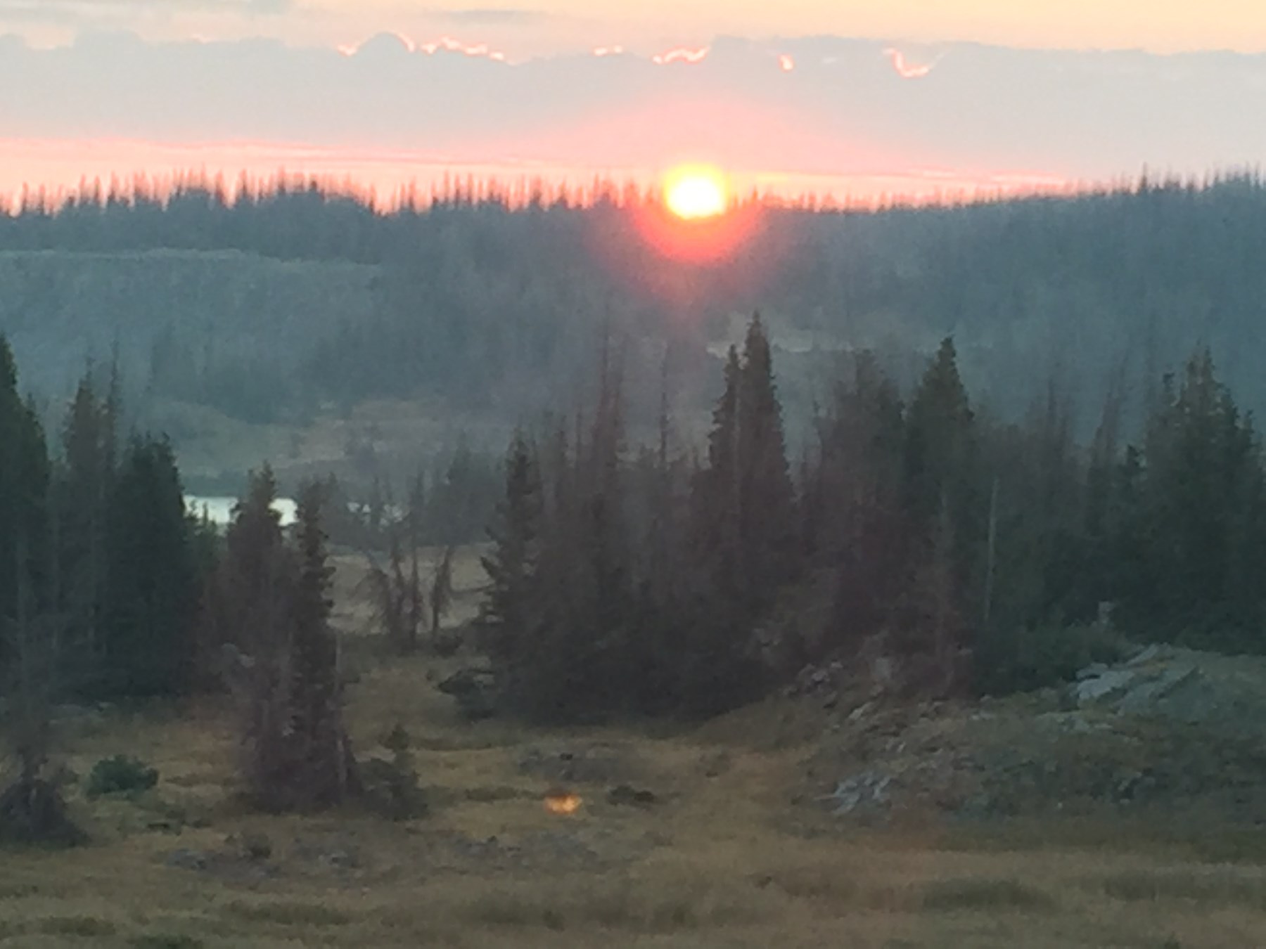 Gregory John Gabrisch Obituary - Houston, TX