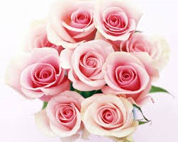 Elva Maria Robles Obituary - Hanford, CA