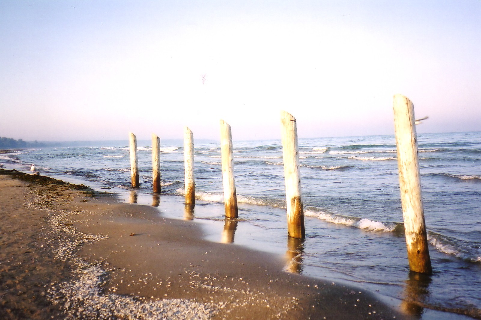 Edythe May McIntosh Obituary - Hamilton, ON