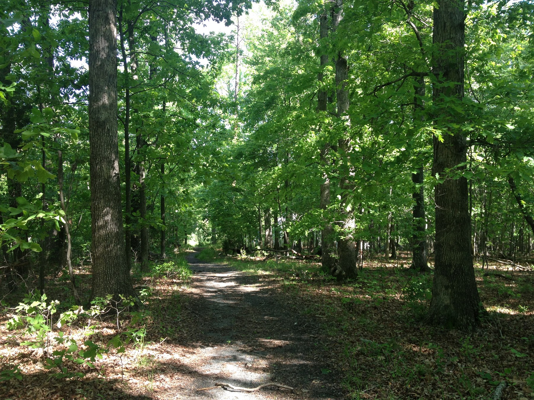 Robert Strouse's Instagram, Twitter & Facebook on IDCrawl