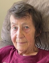 Linetta Schmidgall Obituary - Arlington Heights, IL