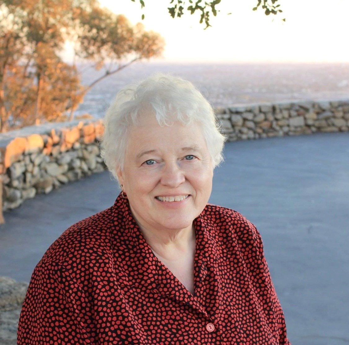 Barbara Frank Obituary - Williamston, MI