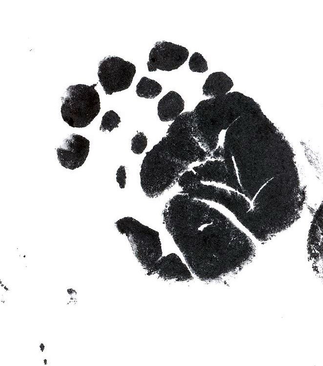 Johnathan Nathan Doss Obituary - Indianapolis, IN