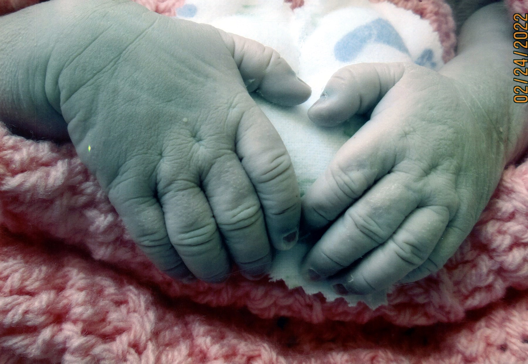 Nevaeh Woolens