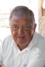 Daniel Huizinga Obituary - Arlington Heights, IL