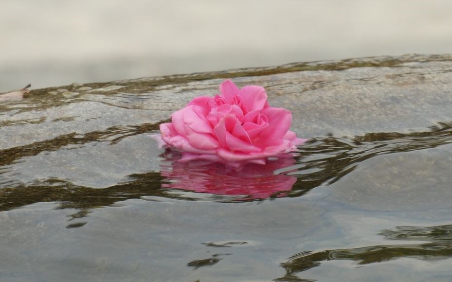 Carol Juanita Triplett Obituary - Goodyear, AZ