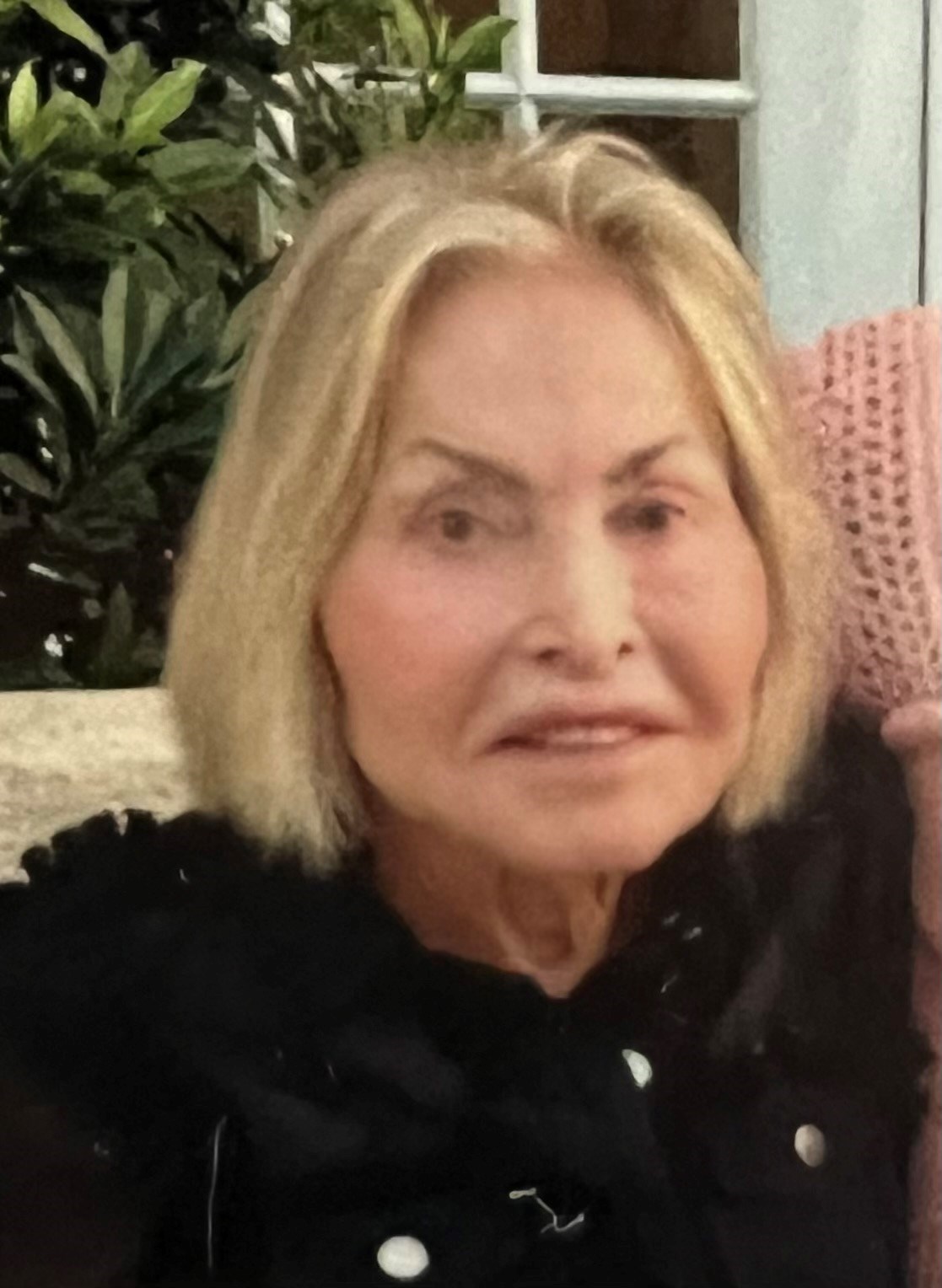 Paula Granoff Obituary - Providence, RI