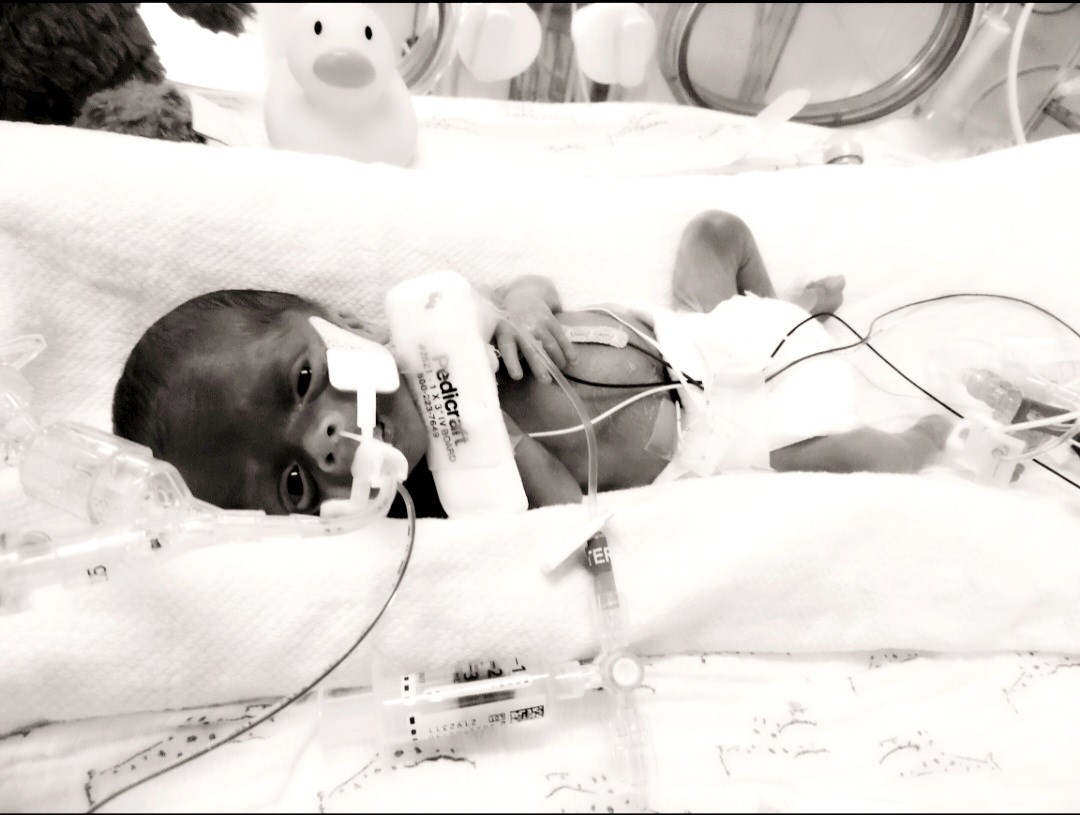 Logan Swenson Obituary - Bel Air, MD