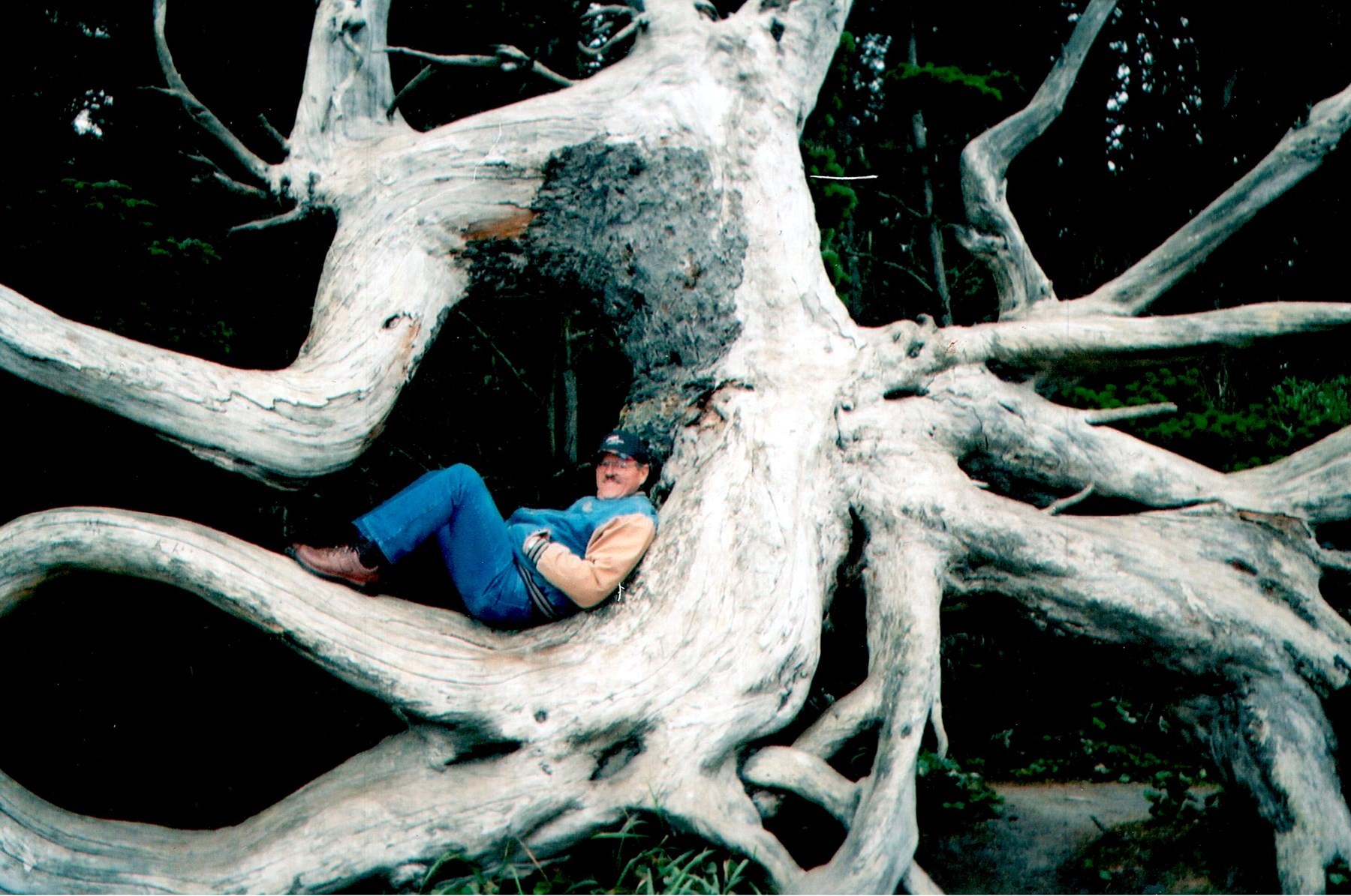 David Mendonca Obituary - Hughson, CA