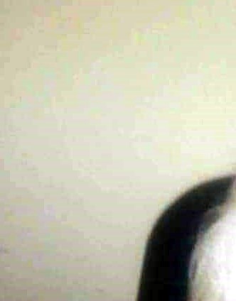 Elisa Gonzalez Obituary - San Antonio, TX Elisa Gonzalez Obituary - San Antonio, TX