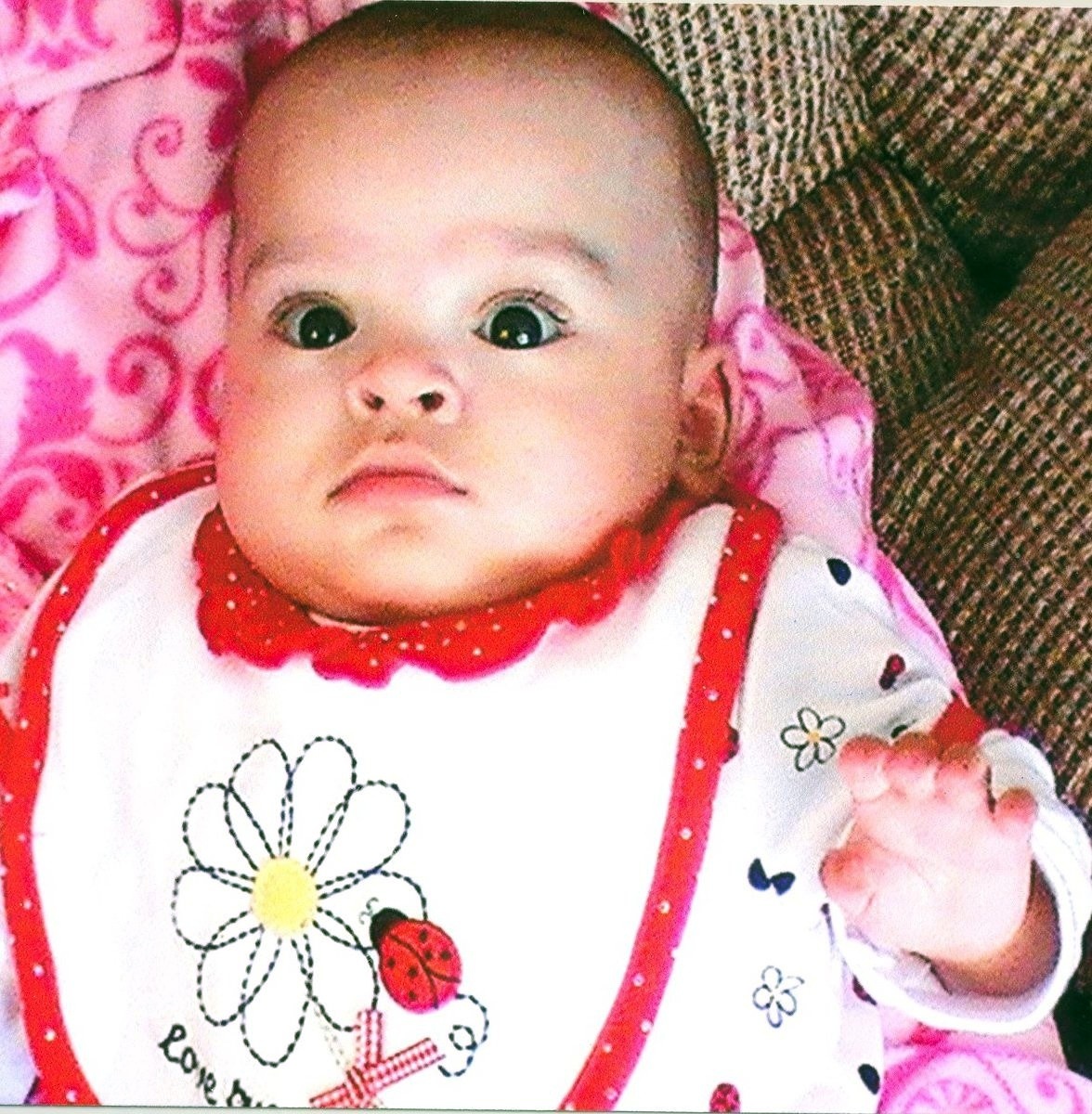 Marie Jett's Instagram, Twitter & Facebook on IDCrawl