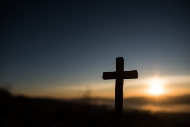 Barbara Gorka Obituary - Houston, TX
