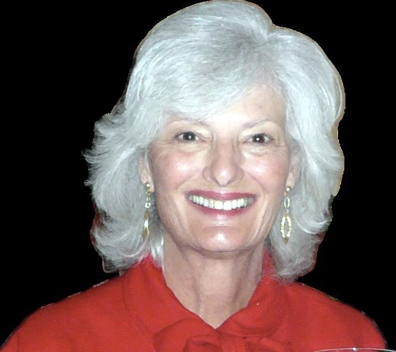 Susan Holsclaw Obituary - Chicago, IL