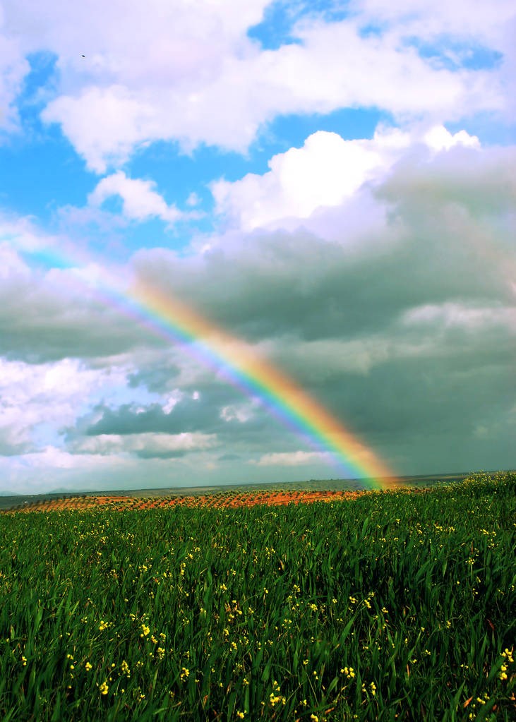 Menno Steury Obituary - Fort Wayne, IN