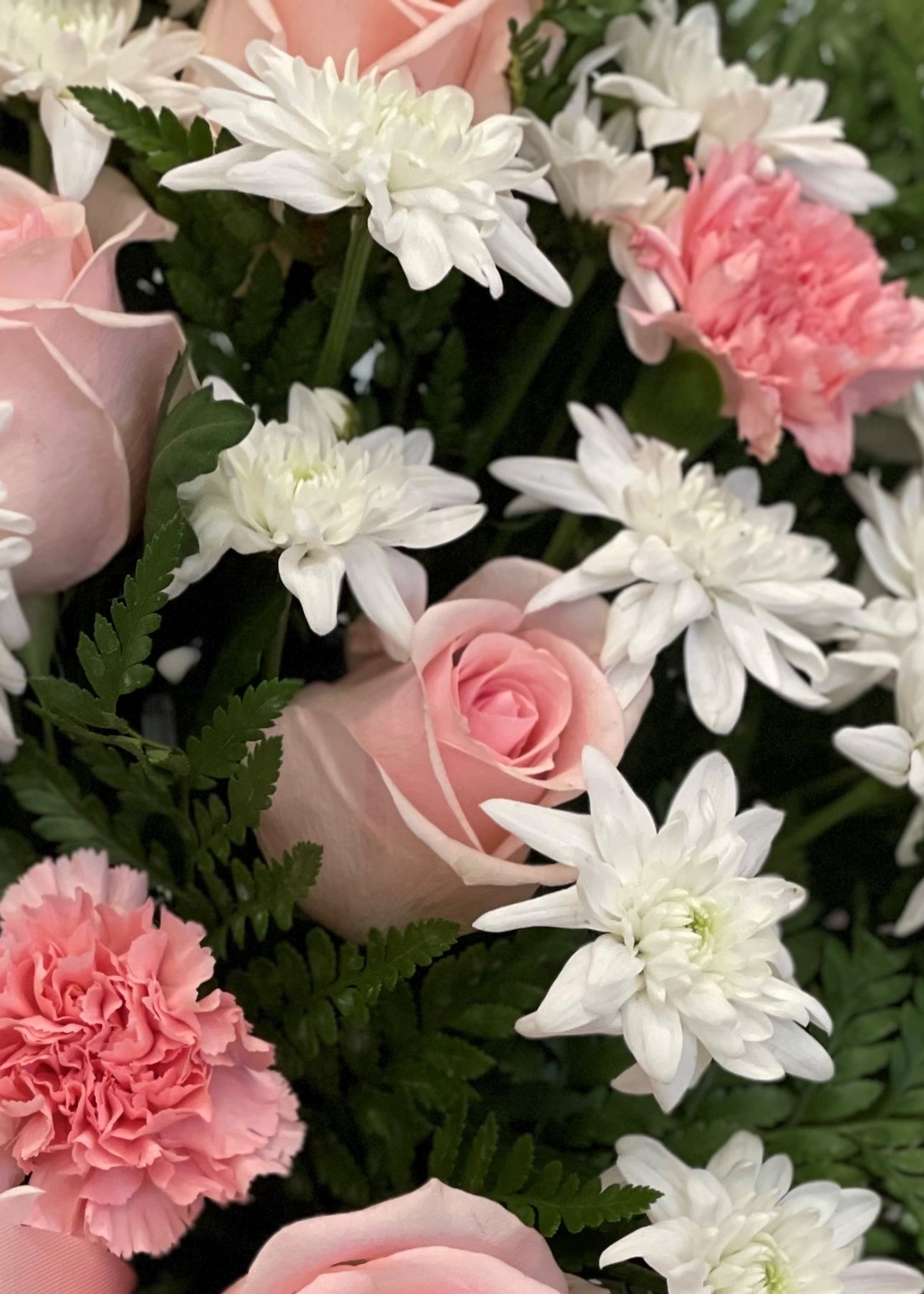 Stephen So Obituary - Vancouver, BC