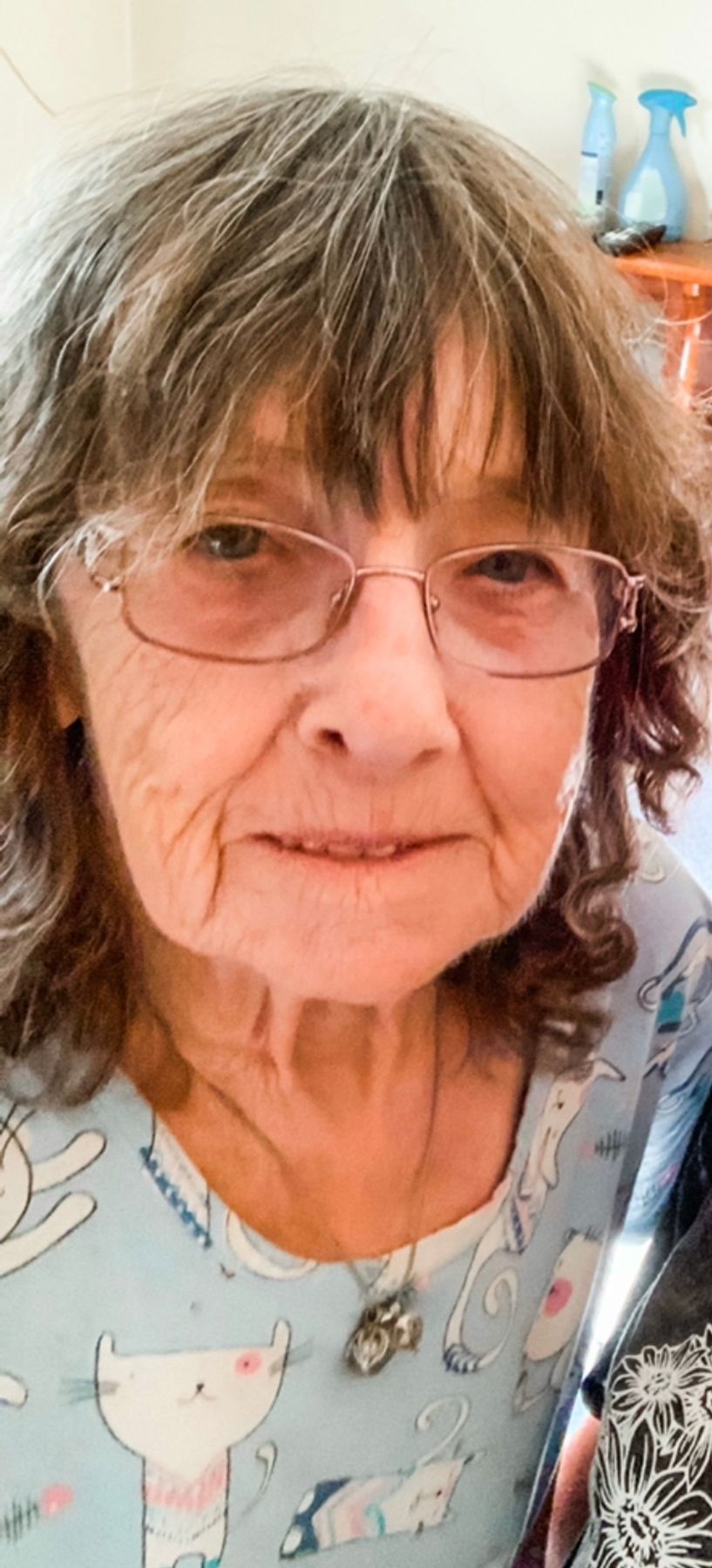 Diane Miller Obituary - Cambridge, ON