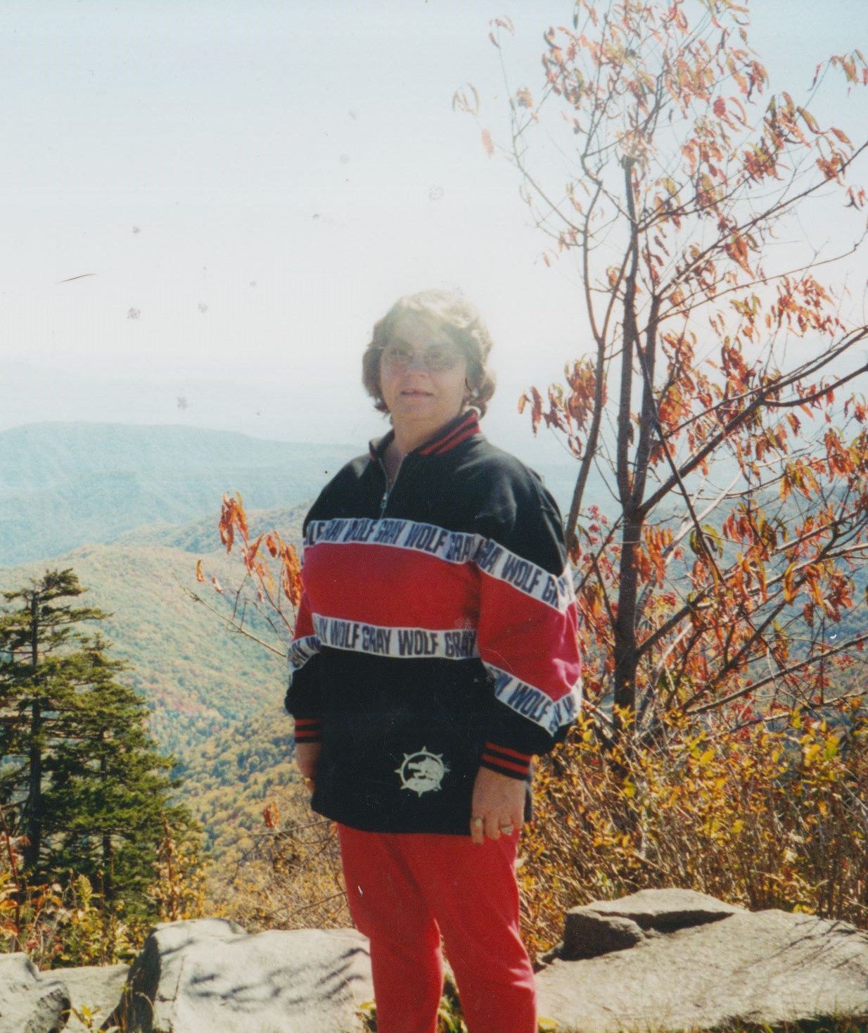 Linda Wailes Obituary - Leeds, AL
