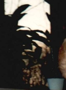 Marie Reynolds Obituary - Lansing, MI Marie Reynolds Obituary - Lansing, MI