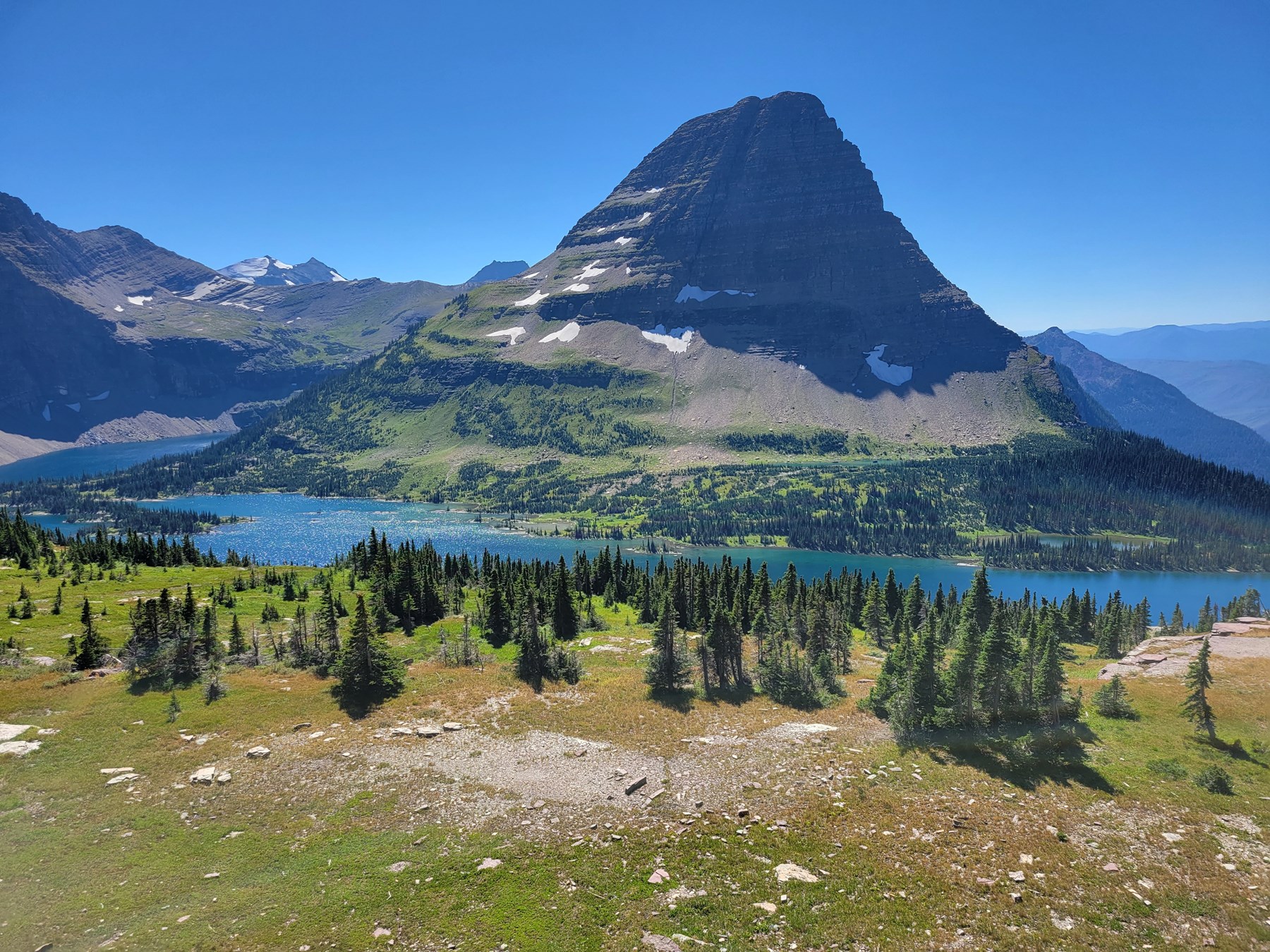 William Rielly Obituary - Bothell, WA