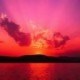 Greg Homsey Obituary - Hollywood, FL