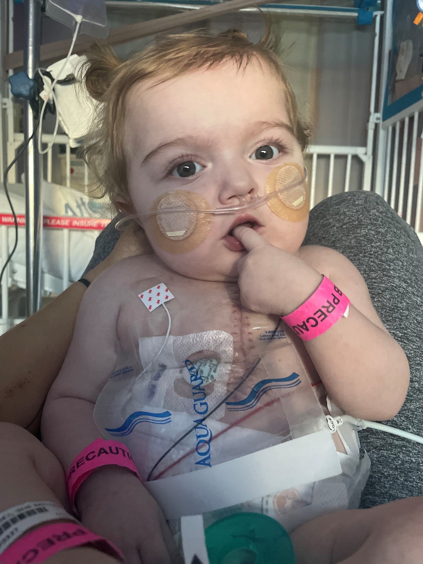 Madison Whipple Obituary - Crystal Lake, IL