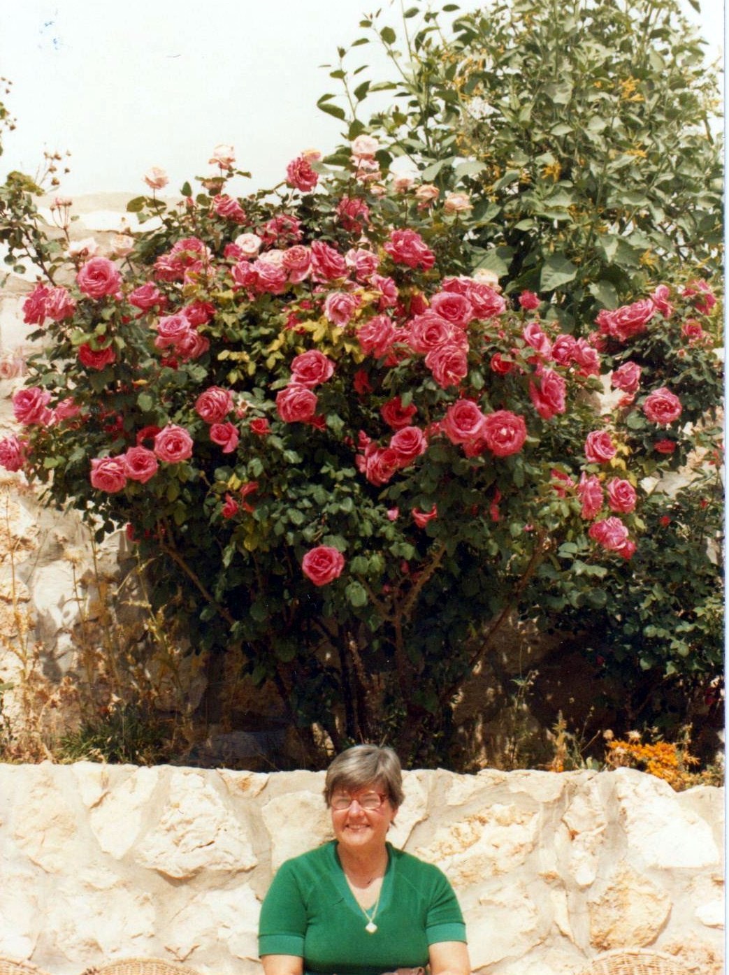 Joan Haigh Obituary - Victoria, BC