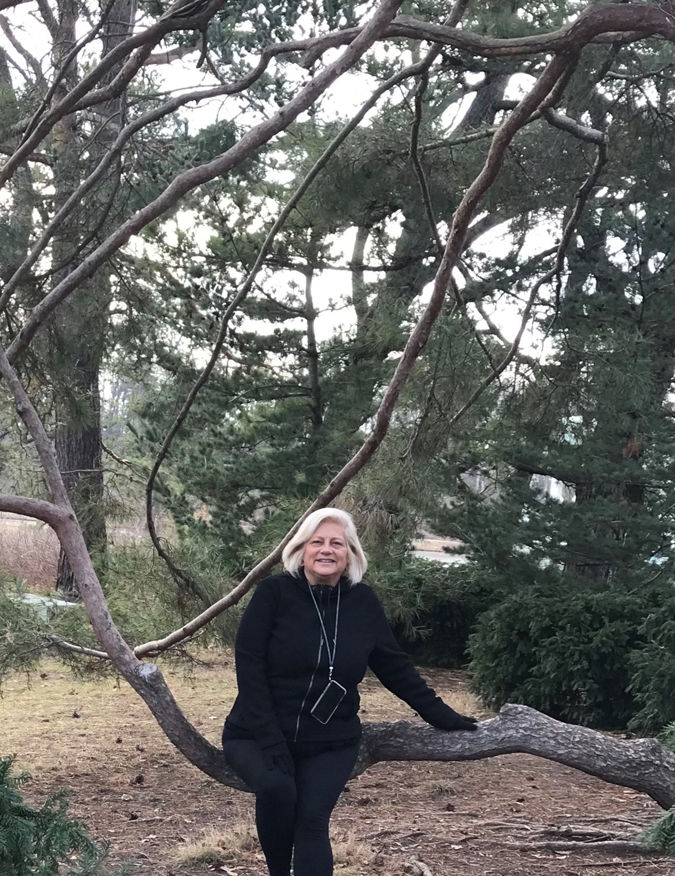 Cynthia Aurelio Obituario - Fort Myers, FL