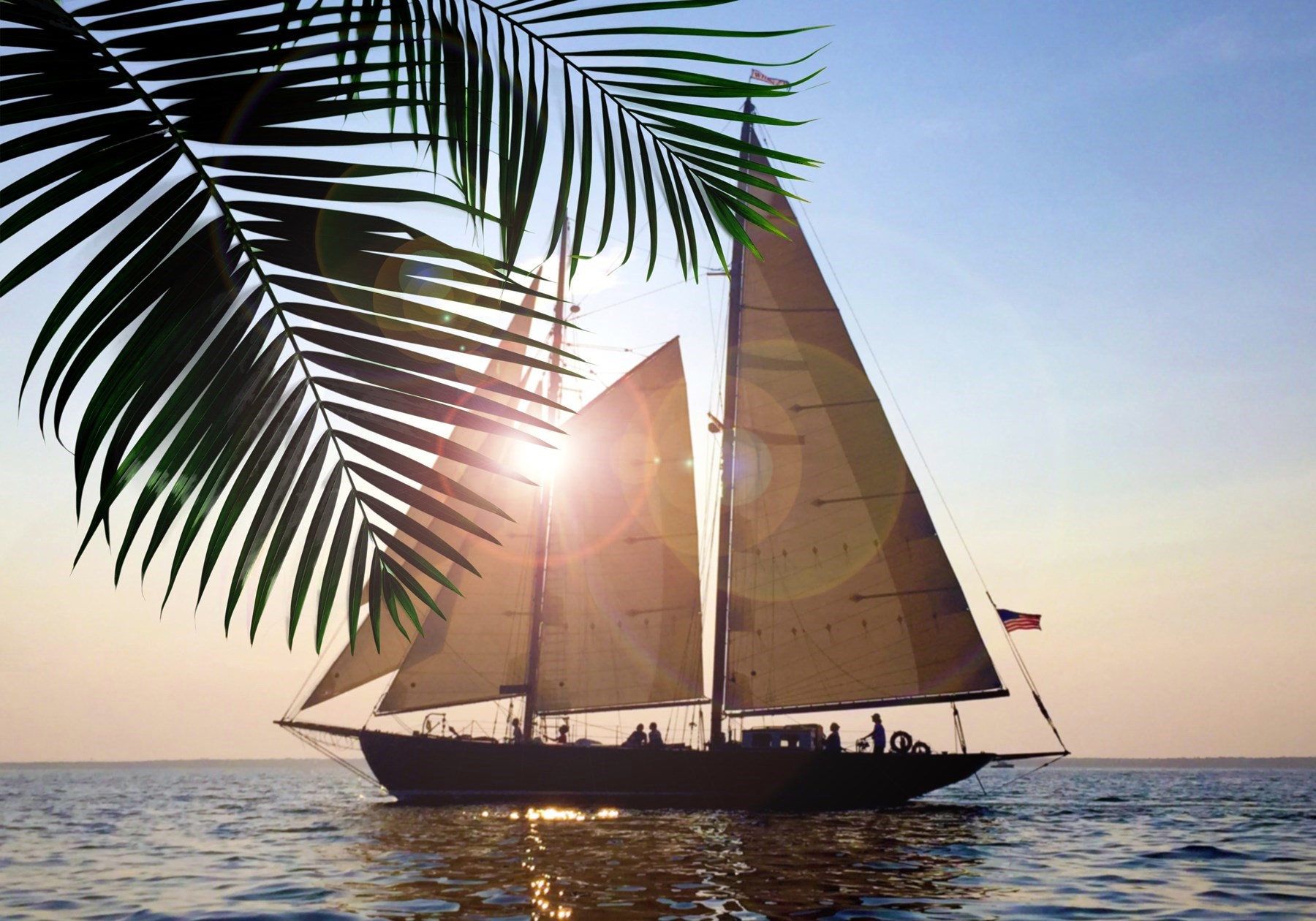 Kenneth Whitehead Obituary - Miami, FL