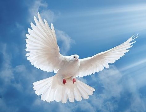 Michael Overcash Obituary - China Grove, NC