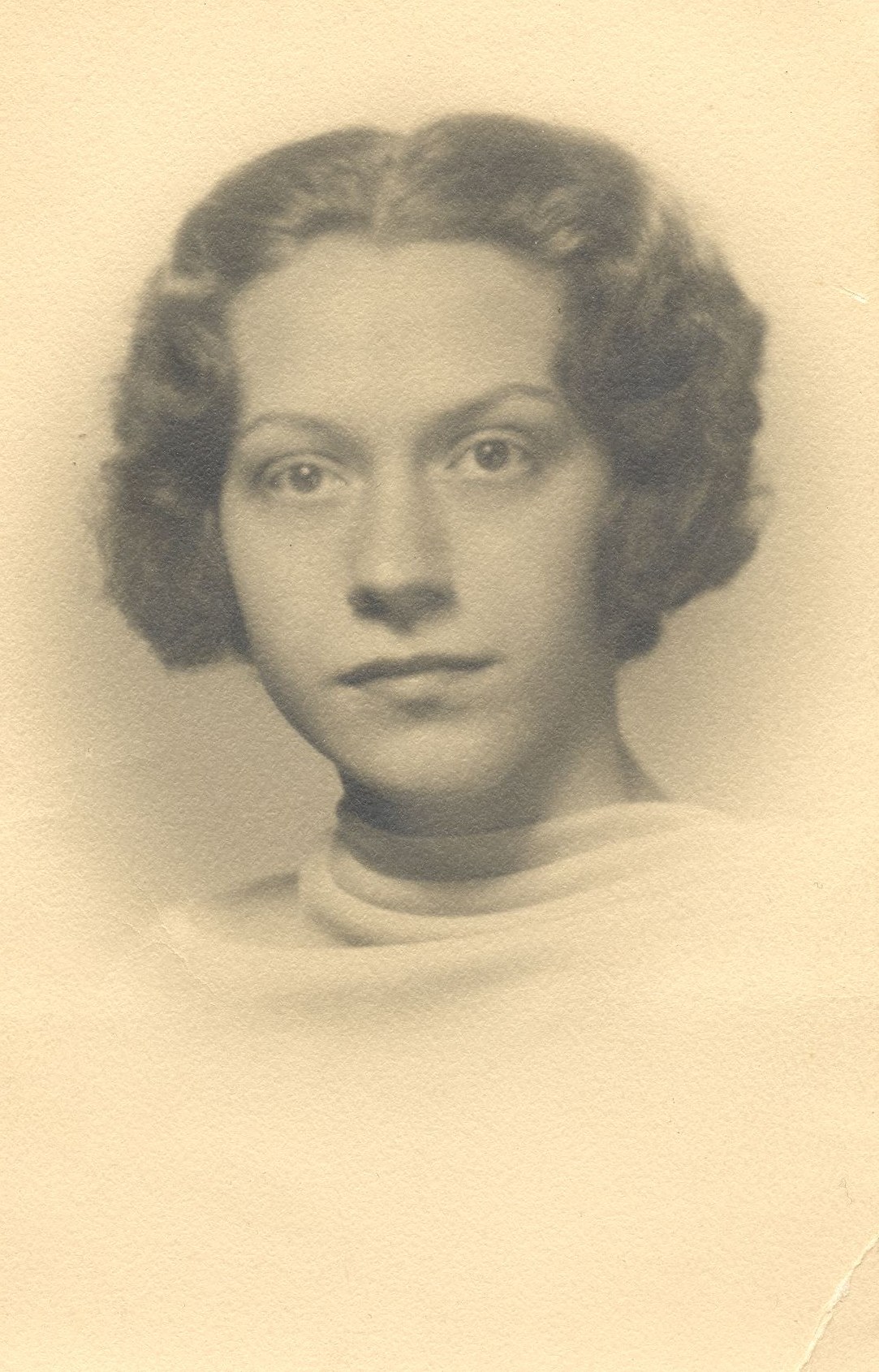 Daniel Salerno's Instagram, Twitter & Facebook on IDCrawl