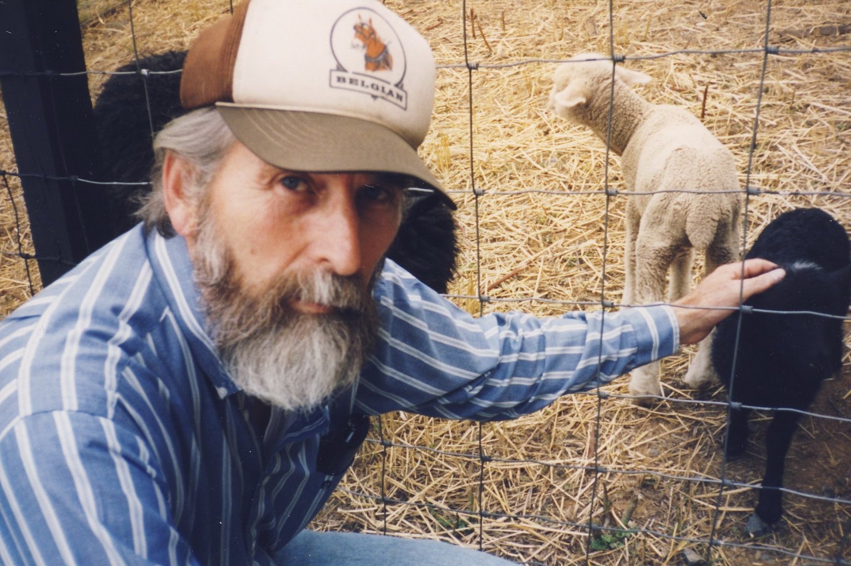 David Mcadams's Instagram, Twitter & Facebook on IDCrawl