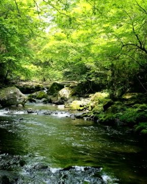 Donald Hugh Coon Obituary - Portland, OR