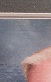 Edward Nollman Obituary - East Hartford, CT Edward Nollman Obituary - East Hartford, CT
