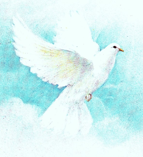 Mario Chavez Obituary - Tampa, FL