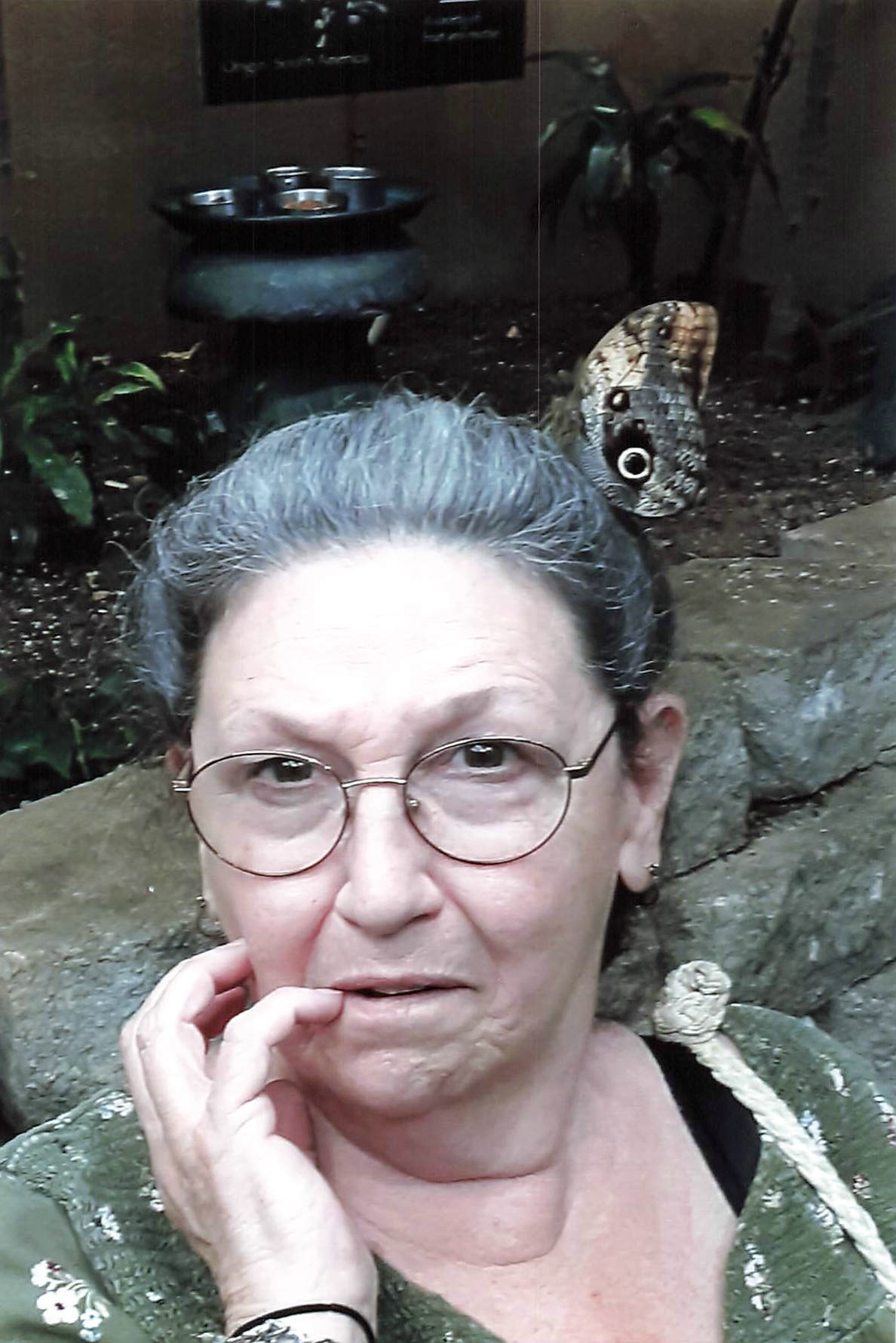 Courtney Sweeney's Instagram, Twitter & Facebook on IDCrawl