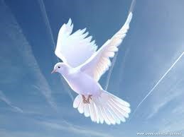 Ashton Lamberson Obituary - Kokomo, IN